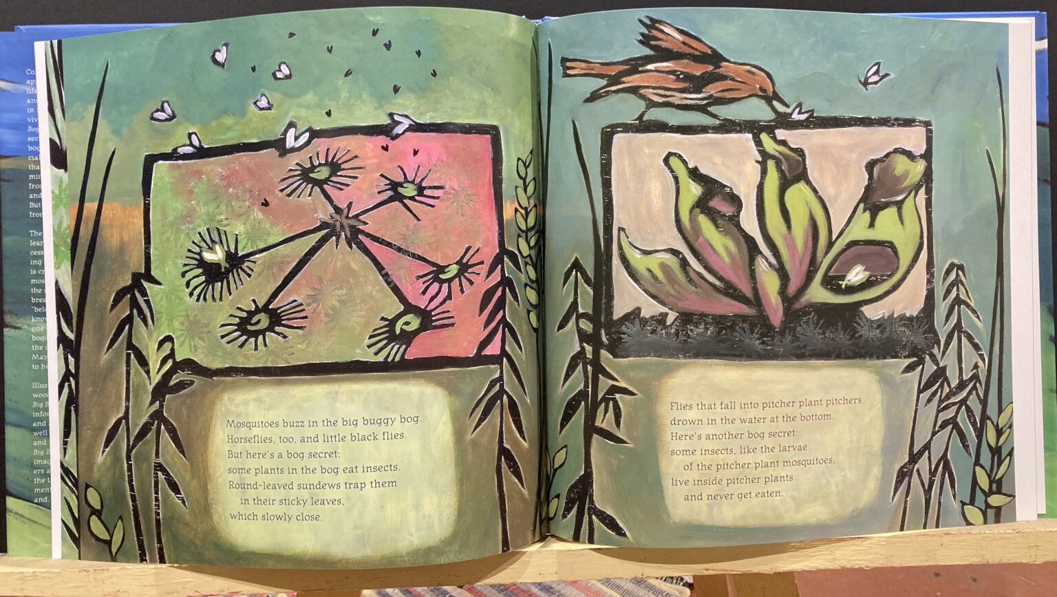 Big Belching Bog - Betsy Bowen Studio